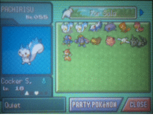 View topic - Adopt In-Game Pokemon from Cocker Spaniel - Chicken Smoothie