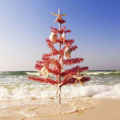 Gallery - Create GIF animations online - Make an Animated GIF - Picasion