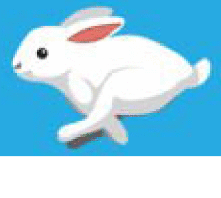 Gallery - Create GIF animations online - Make an Animated GIF - Picasion