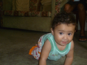 Gallery - Create GIF animations online - Make an Animated GIF - Picasion