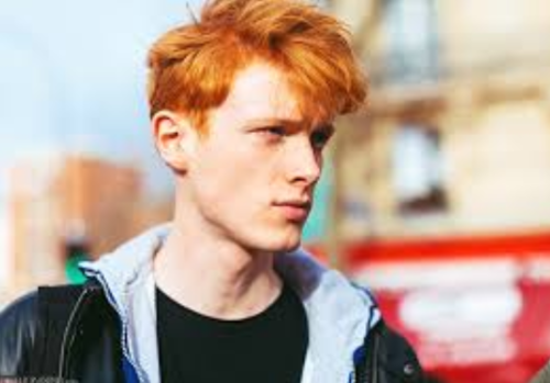 The Apricity Forum: A European Cultural Community